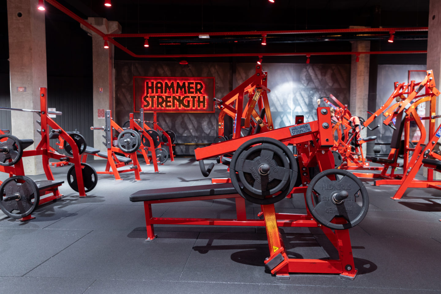 Official Hammer Strength Training Center | Fitness Brands
