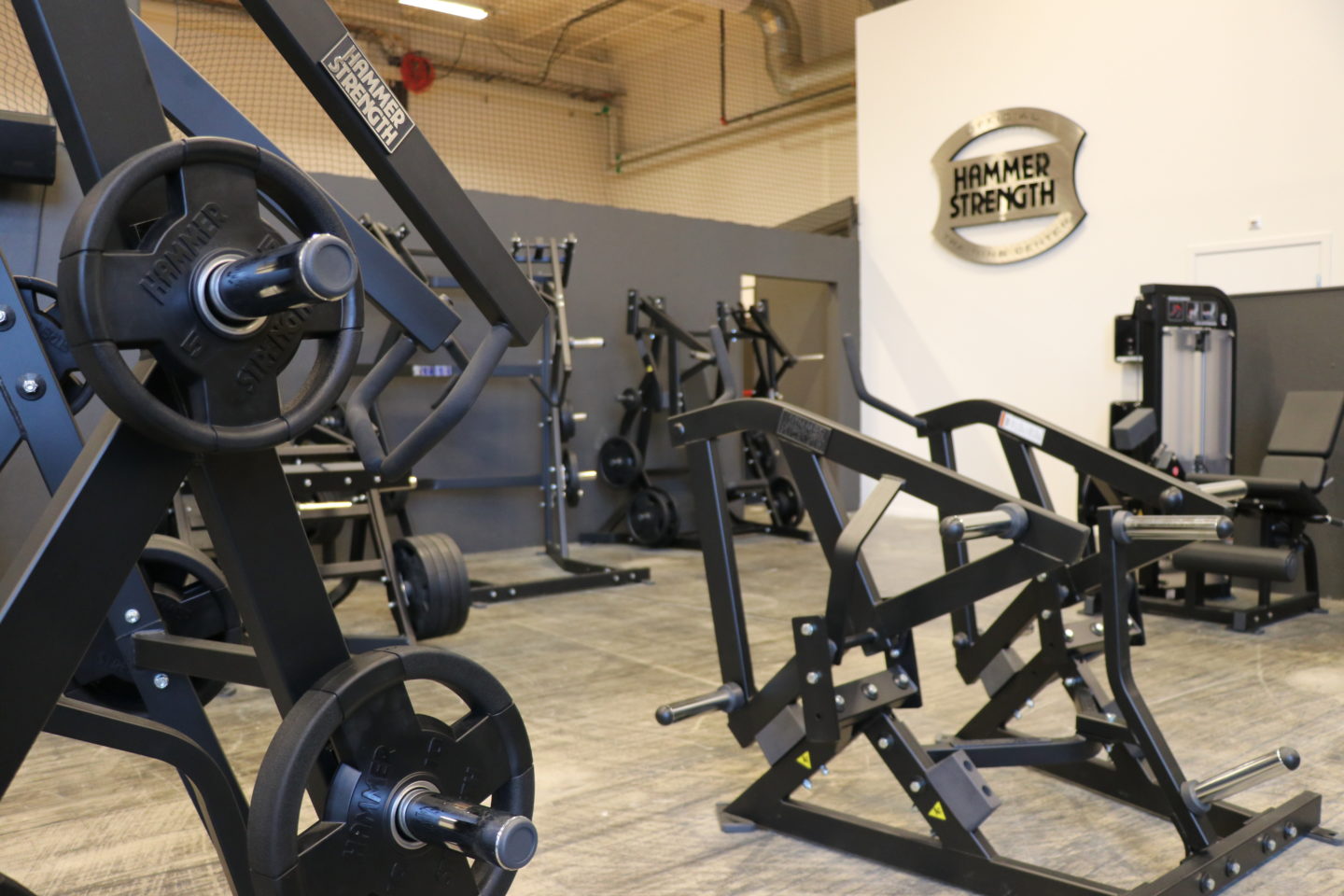 Hammer Strength Official Training Center | Fitness Brands