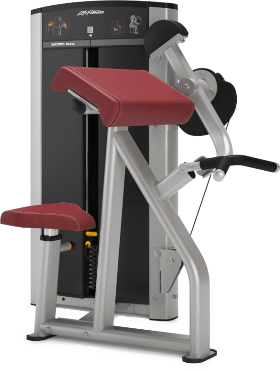 Styrketräning | Fitness Brands