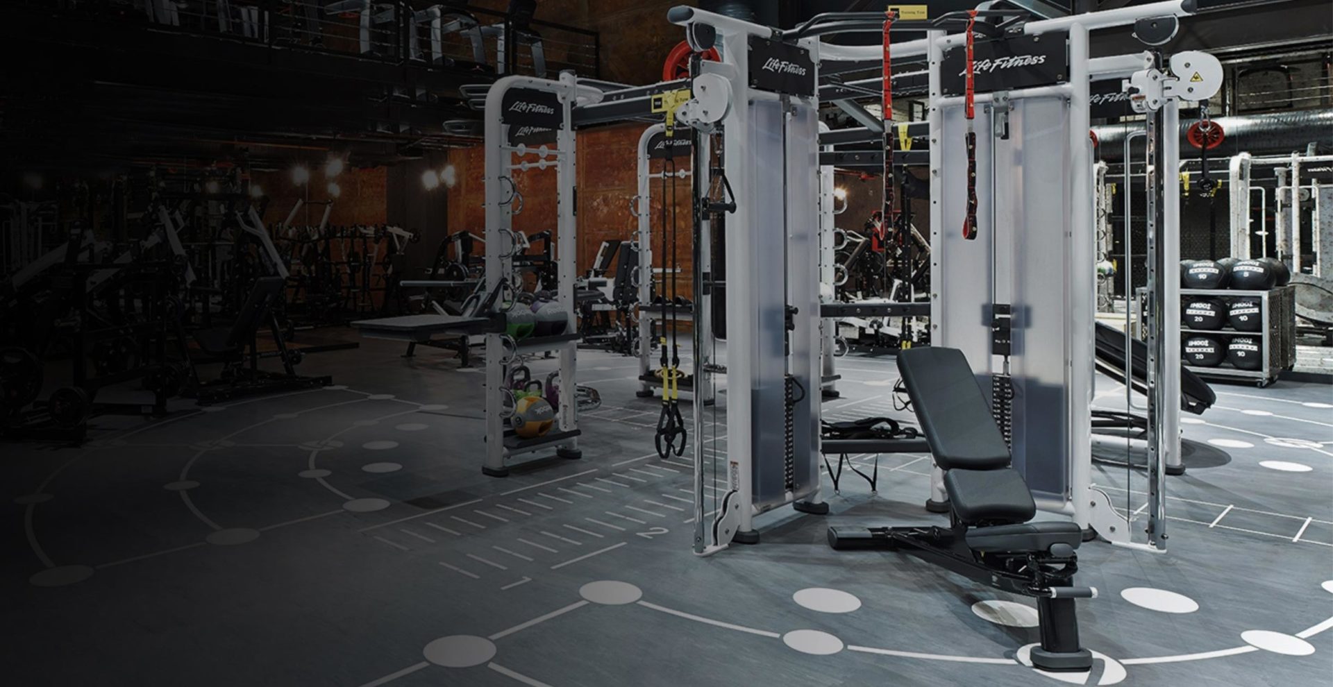 Synrgy | Fitness Brands