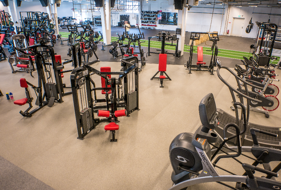Official Hammer Strength Training Center | Fitness Brands