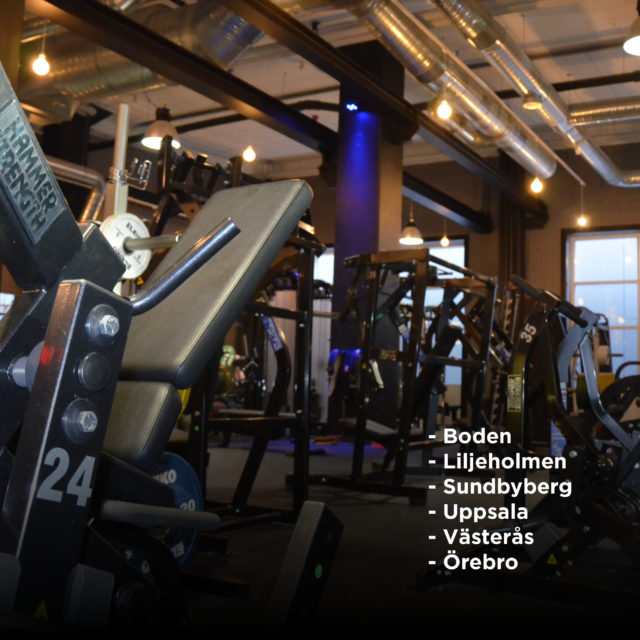 Official Hammer Strength Training Center | Fitness Brands