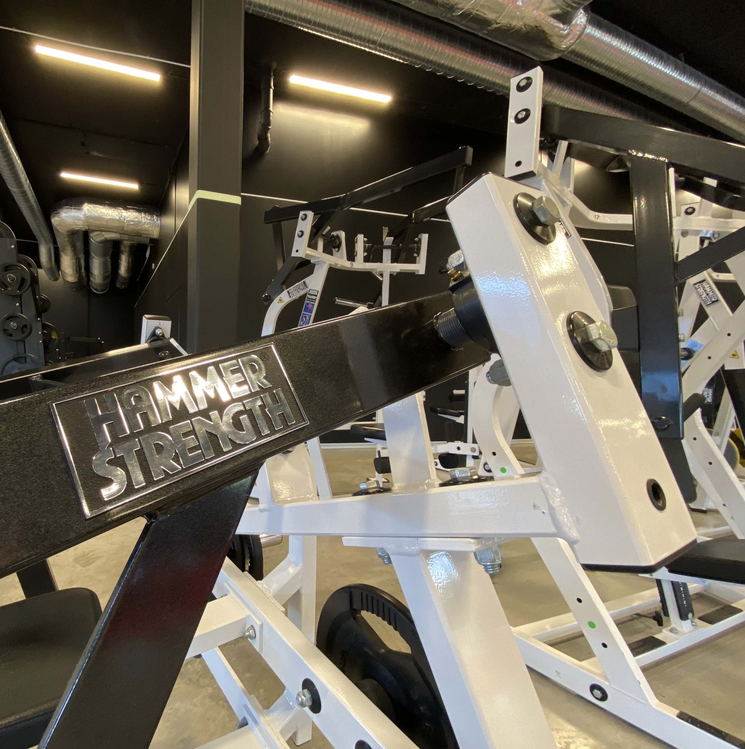 Official Hammer Strength Training Center | Fitness Brands