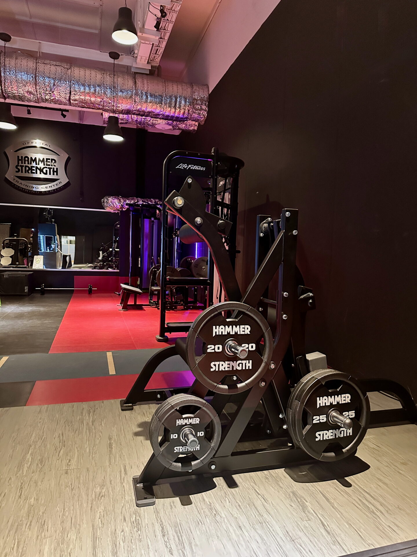 Assisted Nordic Ham | Fitness Brands