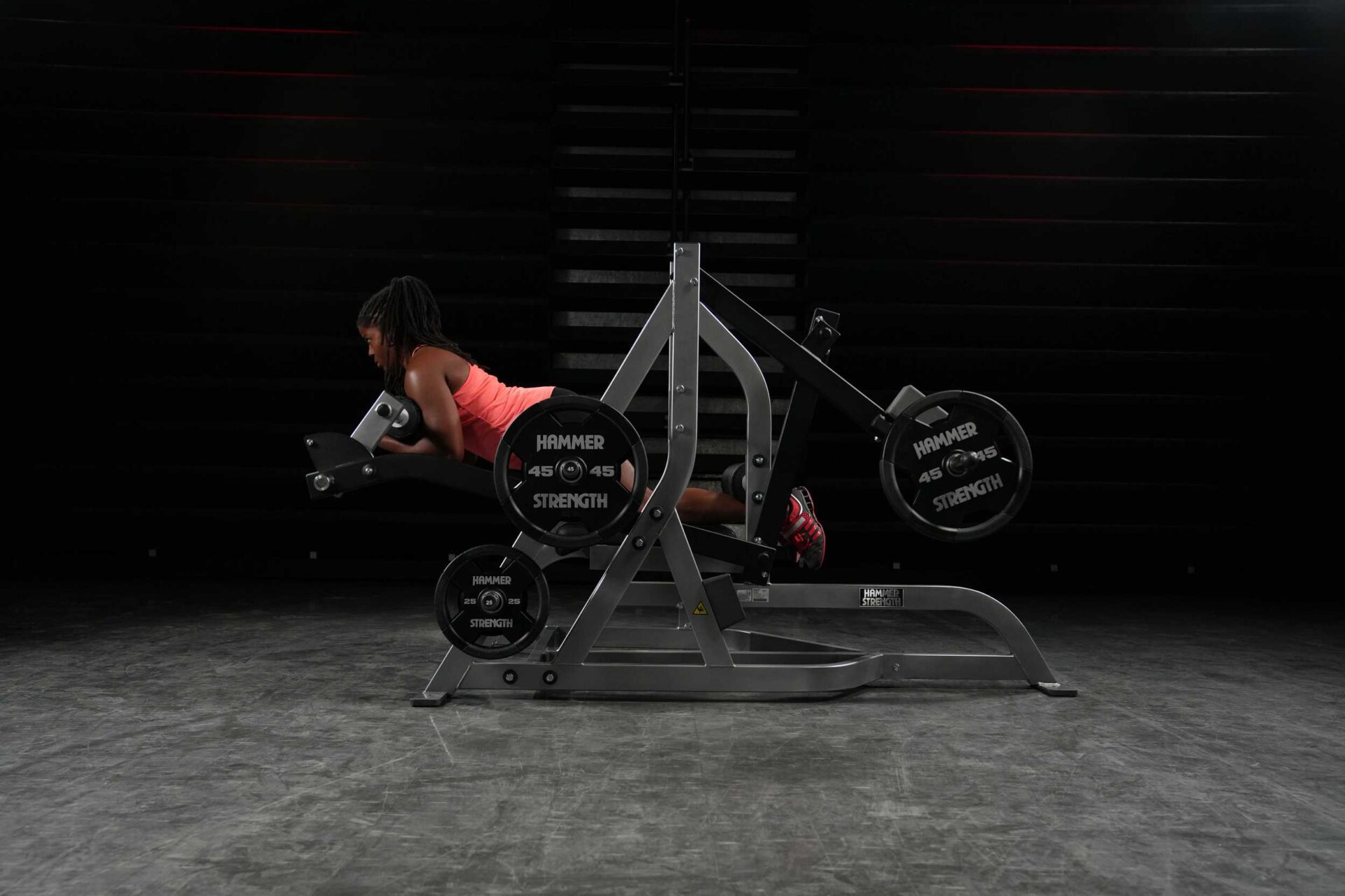 Assisted Nordic Ham | Fitness Brands